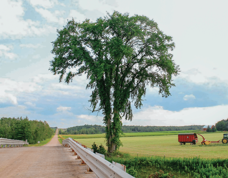 Wisconsin Rustic Roads Guide