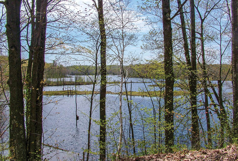 Wisconsin Rustic Roads Guide