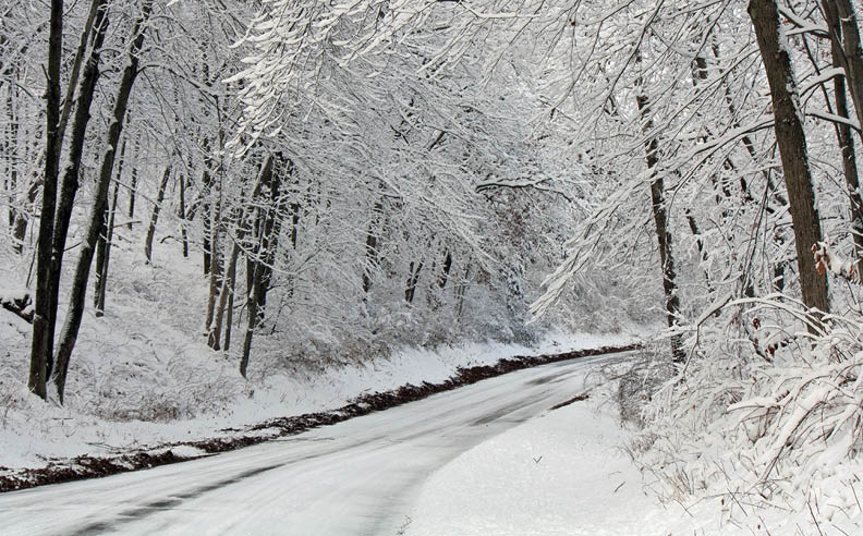 Wisconsin Rustic Roads Guide