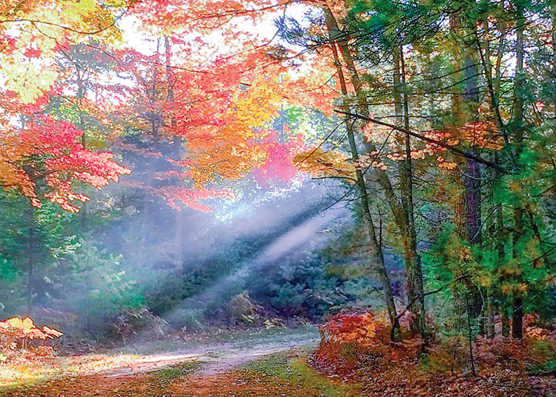 Wisconsin Rustic Roads Guide