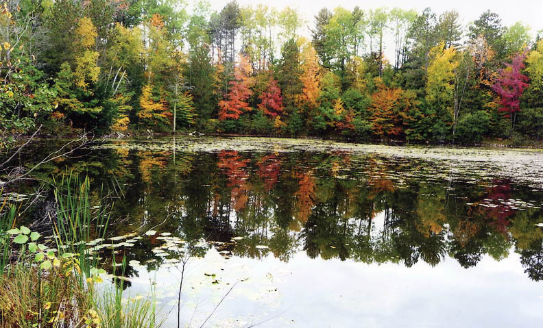 Wisconsin Rustic Roads Guide