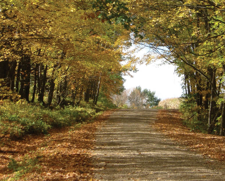 Wisconsin Rustic Roads Guide