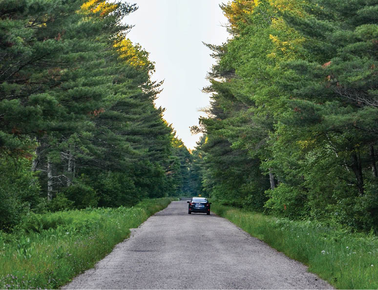 Wisconsin Rustic Roads Guide