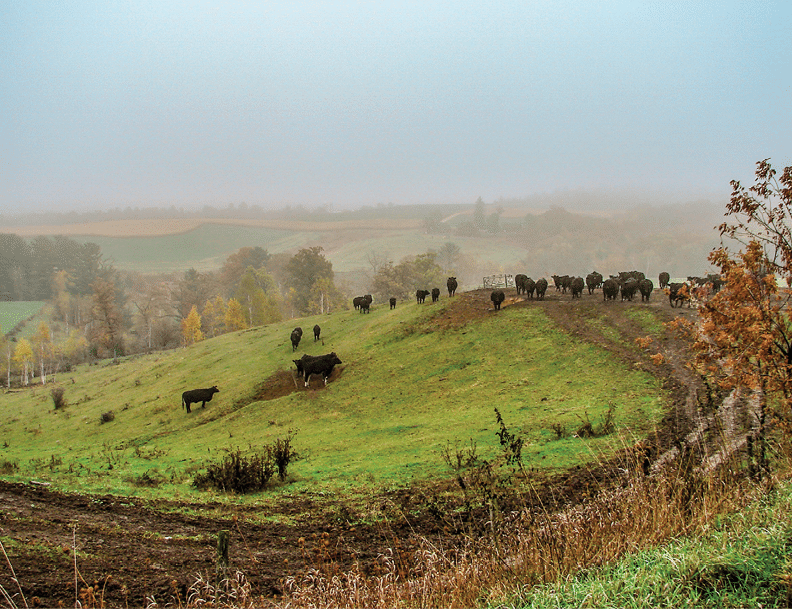 Wisconsin Rustic Roads Guide