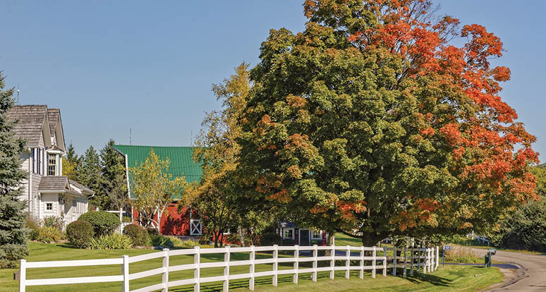 Wisconsin Rustic Roads Guide