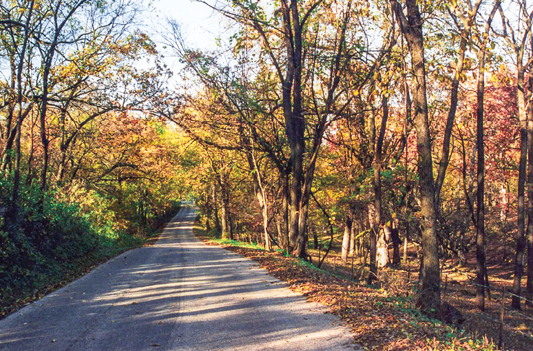 Wisconsin Rustic Roads Guide