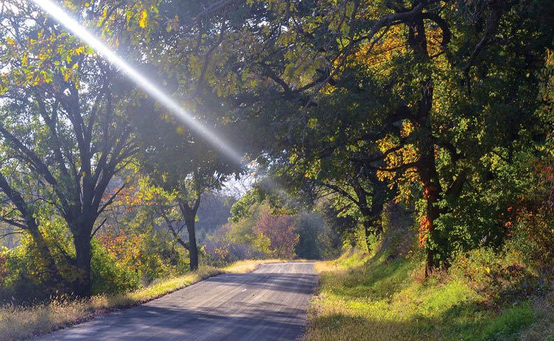 Wisconsin Rustic Roads Guide