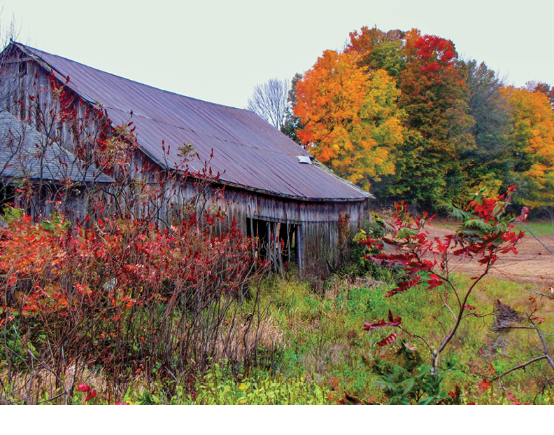 Wisconsin Rustic Roads Guide